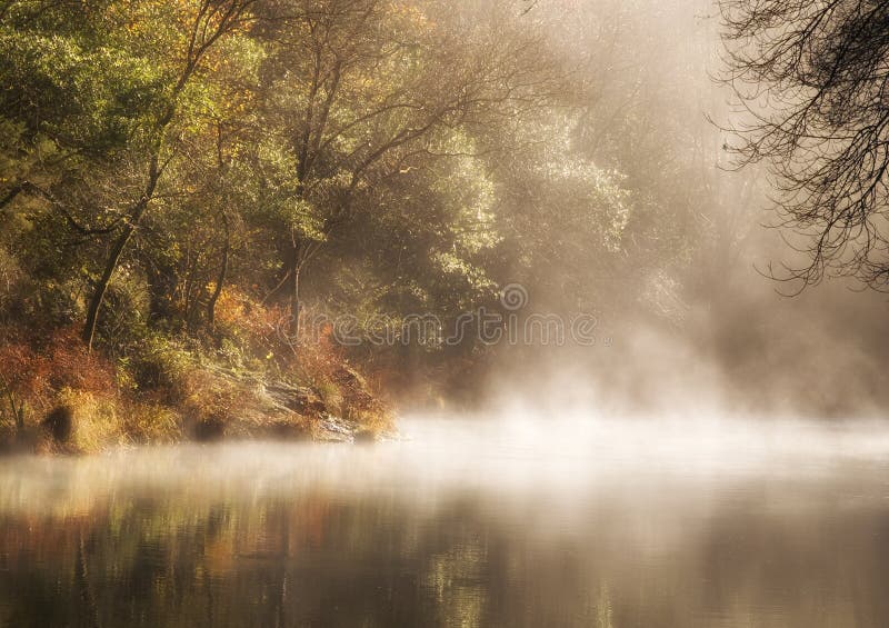 Eume river stock image. Image of branches, nature, fragas - 23985905