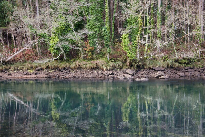 Eume river stock photo. Image of stream, crag, forest - 49780042
