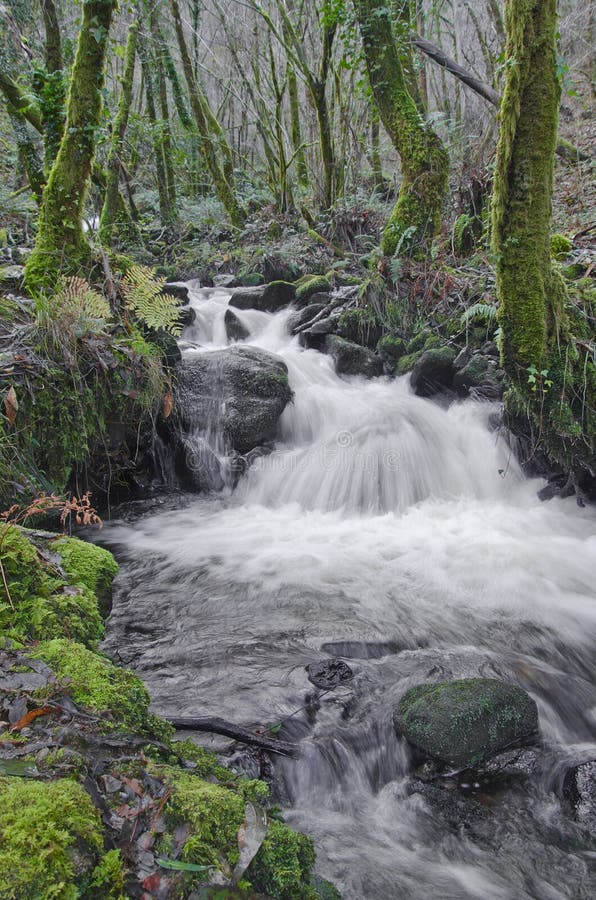 Eume river stock photo. Image of water, galicia, liquid - 49775210