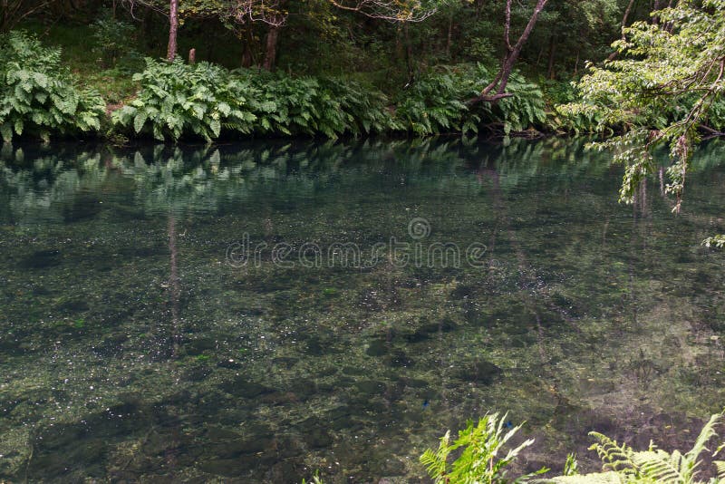 Eume River in the Fragas Do Eume Park Stock Image - Image of reflection ...