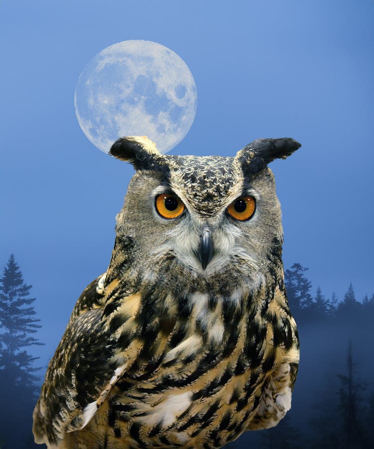 Eurasian Eagle-Owl (Bubo Bubo) Sitting on a Branch Stock Image - Image ...