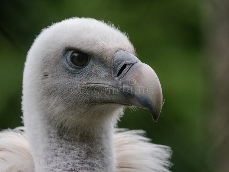 Poerli Won (Poerliwon) - Photographer profile