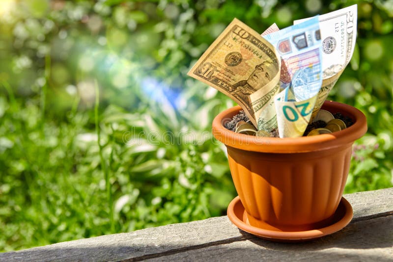 Euro and Dollar Banknote in Flower Pot Stock Photo - Image of ground ...