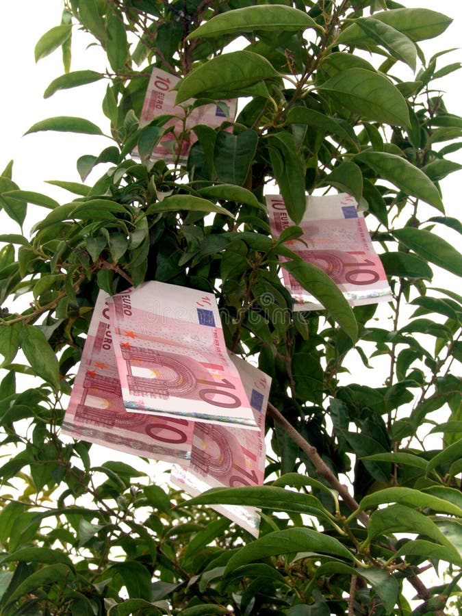 Money growing on trees stock image. Image of landscape - 10884441
