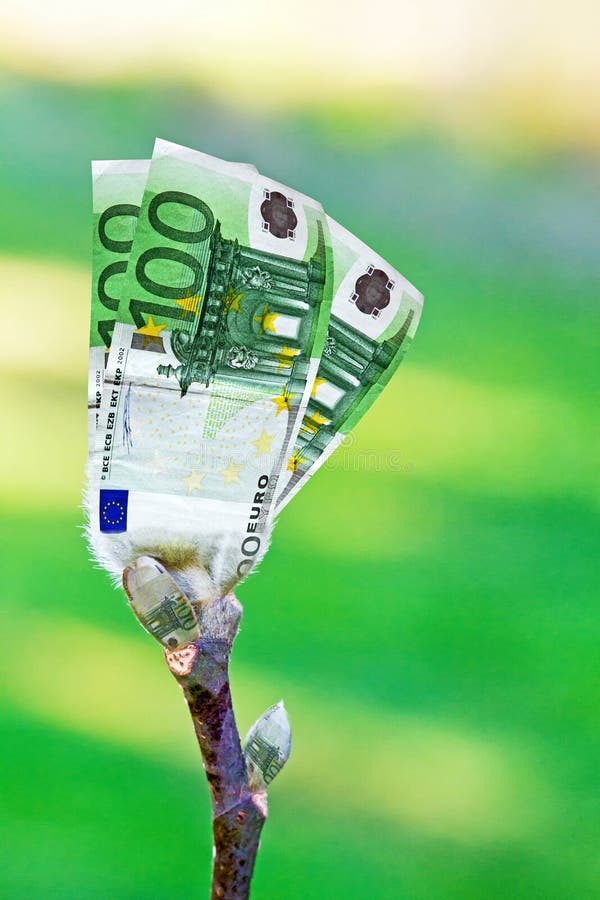 Euro tree stock photo. Image of care, garden, finance - 37746348