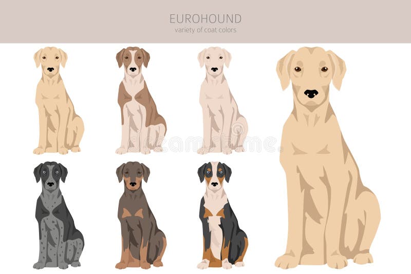 Dog Eurohound Sled Work Stock Illustrations – 6 Dog Eurohound Sled Work ...