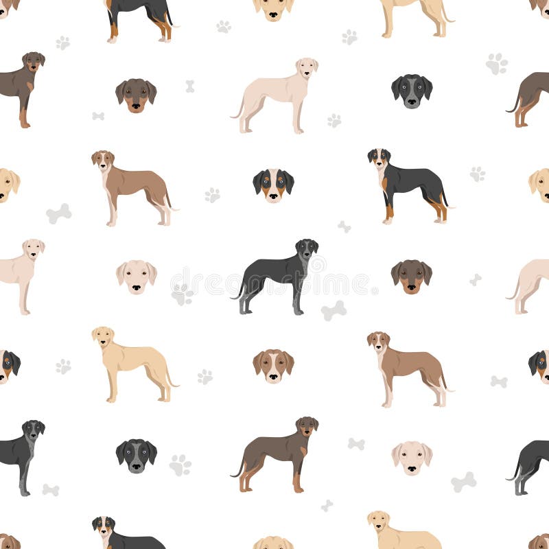 Eurohound Seamless Pattern. Different Coat Colors Set Stock Vector ...