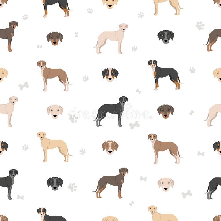 Eurohound Seamless Pattern. Different Coat Colors Set Stock Vector ...
