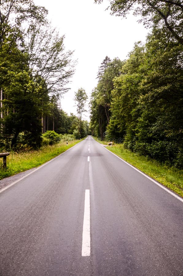 European Asphalt Forest Road Stock Photo - Image of forest, road: 47303000