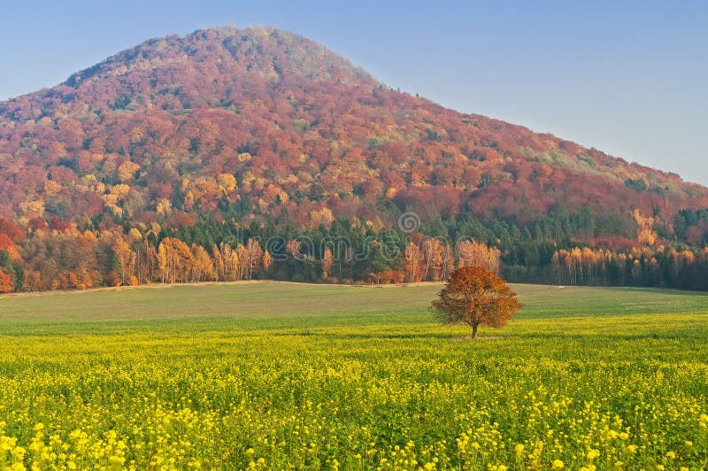 European Countryside stock photo. Image of abstract, country - 22179380