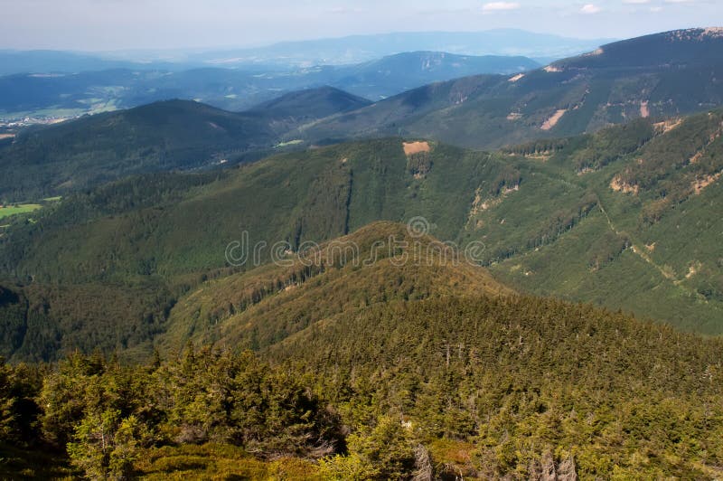 European Countryside stock image. Image of grass, bush - 23148579