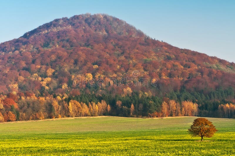 European Countryside stock image. Image of green, abstract - 23400841