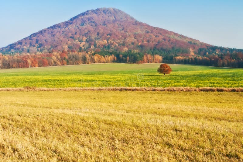 European Countryside stock image. Image of field, beauty - 23804619