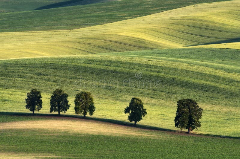 Sunrise Over Rolling Country Hills Stock Photo - Image of countryside ...