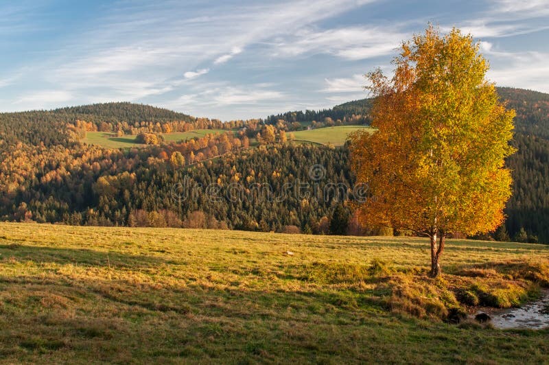 European Countryside stock photo. Image of land, abstract - 27312402