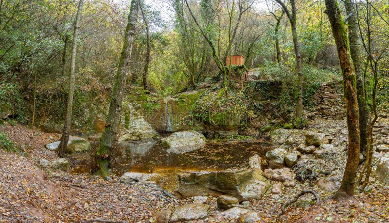 European Forest Pool during Autumn Stock Photo - Image of dark, season ...