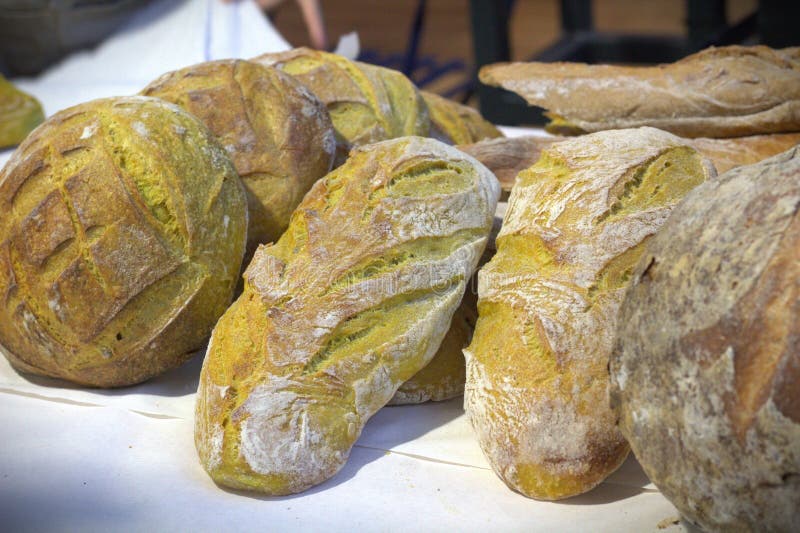 Praying mantis stock image. Image of wing, winged, arthropod - 308779649