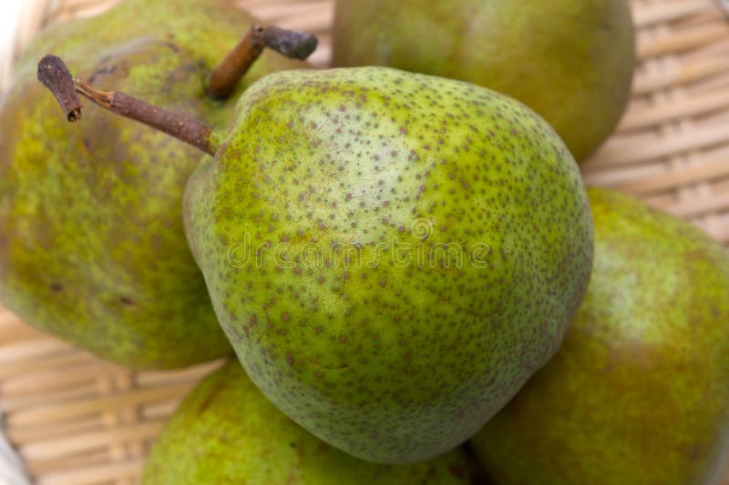 European pear stock photo. Image of fruit, eating, food - 27372772
