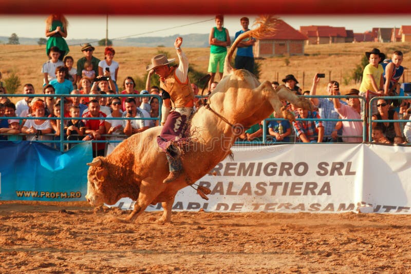 European Rodeo Championship Editorial Stock Image - Image of rider ...
