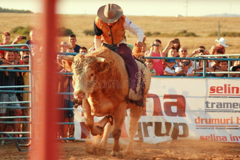 European Rodeo Championship Editorial Stock Image - Image of rider ...