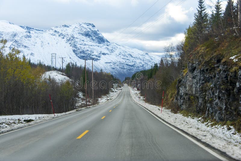 European Route E10 stock image. Image of fjord, leaves - 392968611