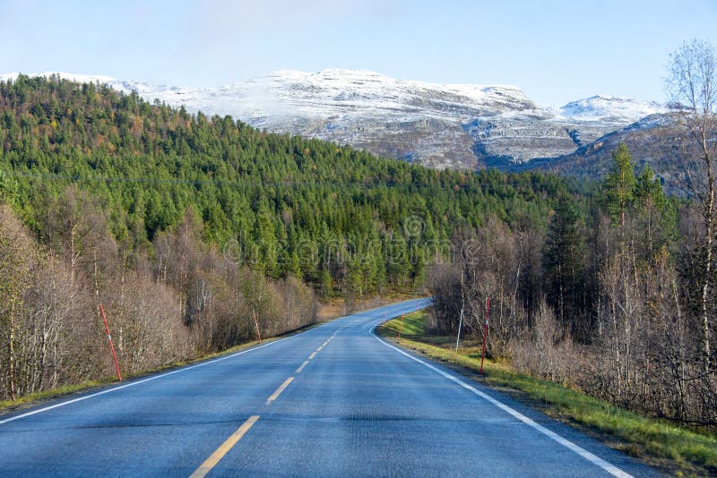 European Route E6 stock photo. Image of nature, transportation - 384708336