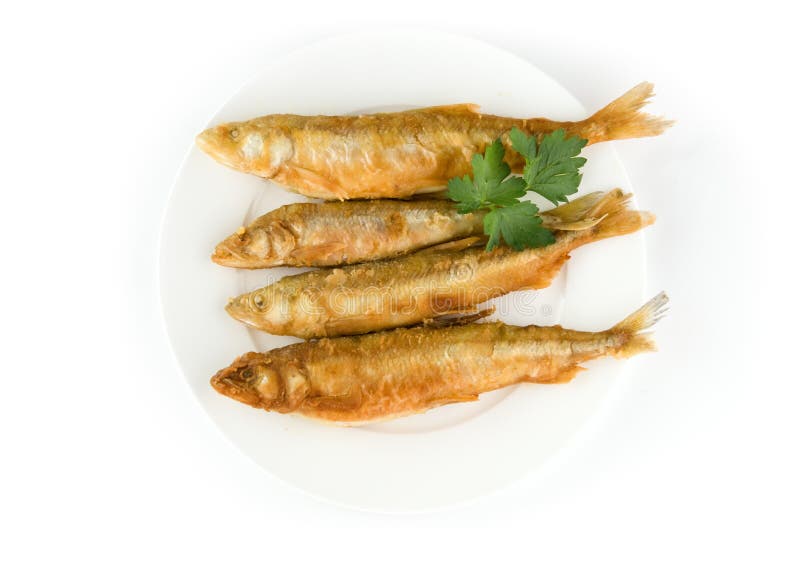 European smelt stock image. Image of eperlanus, white - 23338197