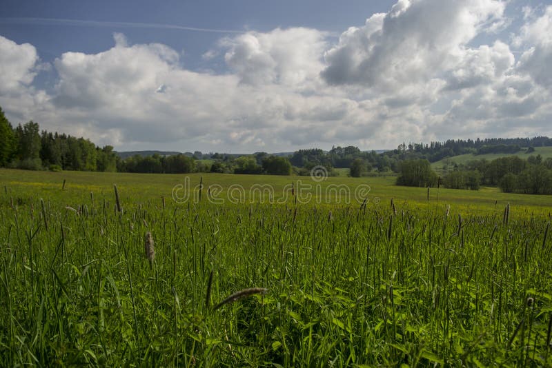European spring landscape stock photo. Image of cloudy - 149648740
