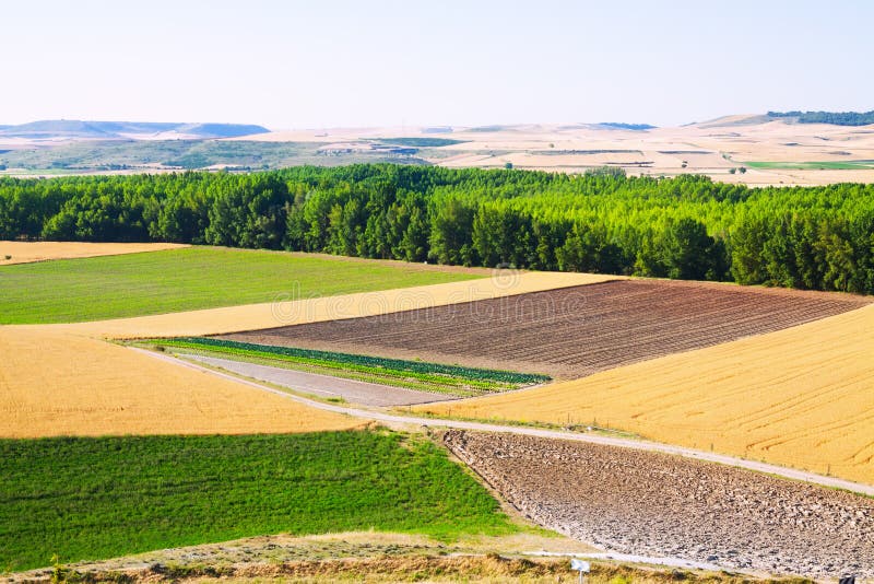 European Summer Landscape with Fields Stock Photo - Image of ...