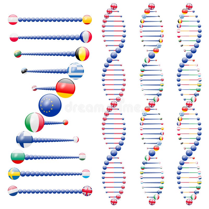 European union DNA stock vector. Illustration of cell - 89328528