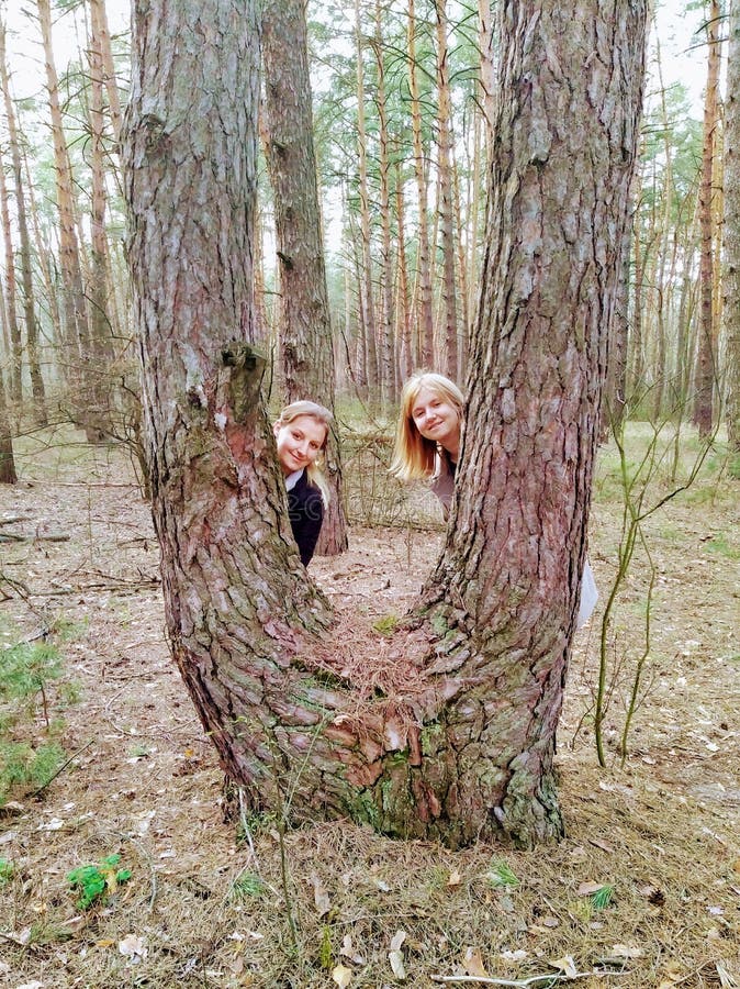 Women Stand Behind Tree at Spring Forest Stock Image - Image of tree ...
