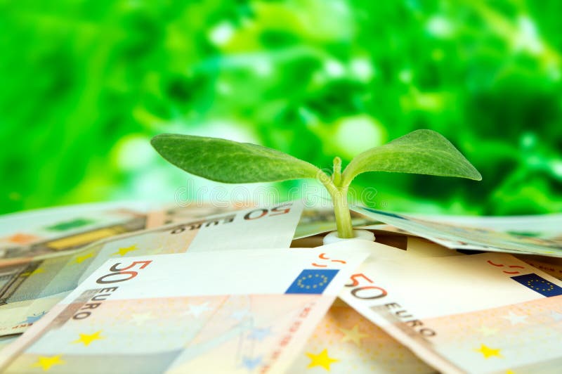 Groene Spruit, Handen Die Geld Houden Stock Afbeelding - Image of grond ...