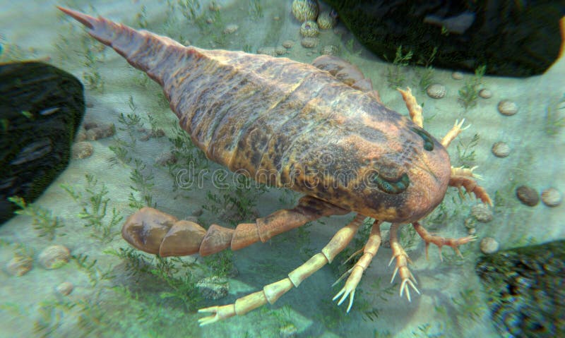 Eurypterus Remipes Illustration Stock Illustration - Illustration of ...