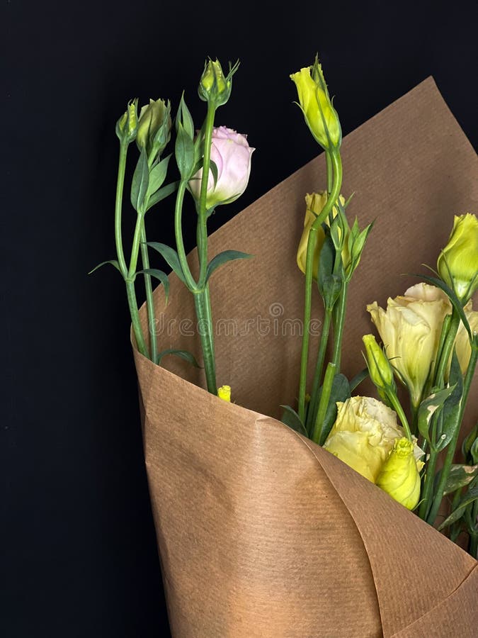 Eustoma is the Magic of Beauty, Refinement, Fragility, Lightness Like ...