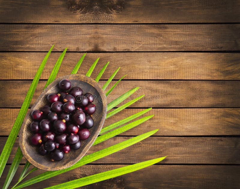 Euterpe Oleracea - Fresh Organic Acai Berries Stock Photo - Image of ...