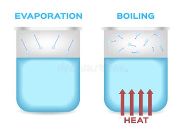Boiling Point Water Stock Illustrations – 200 Boiling Point Water Stock ...