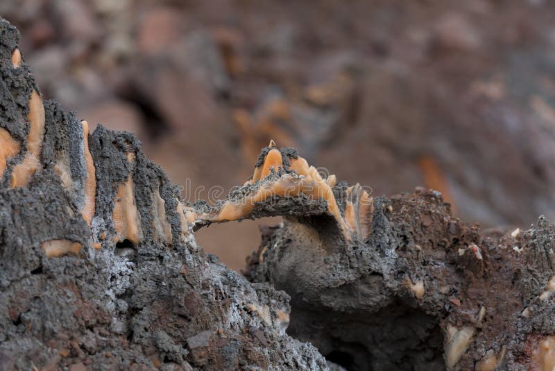Evaporitas imagen de archivo. Imagen de anaranjado, mina - 28050073