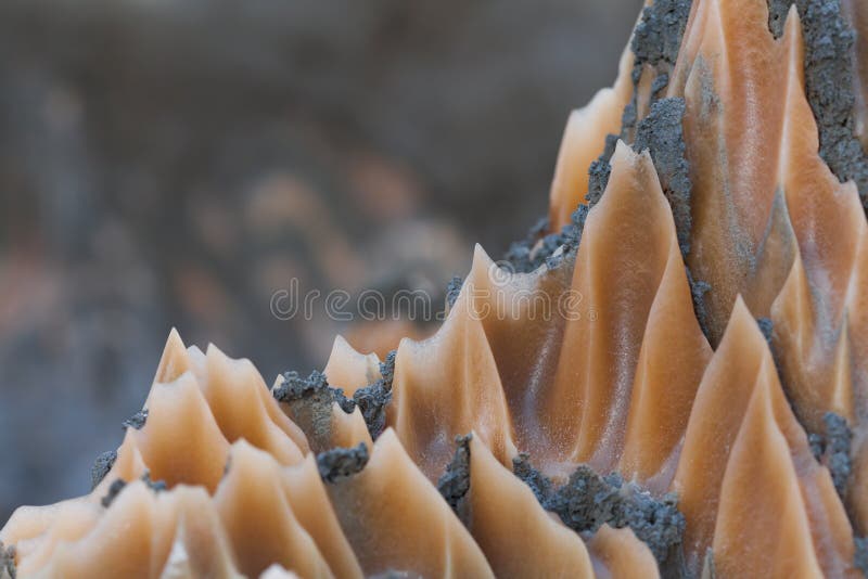 Evaporites stock image. Image of evaporites, cardona - 28056595