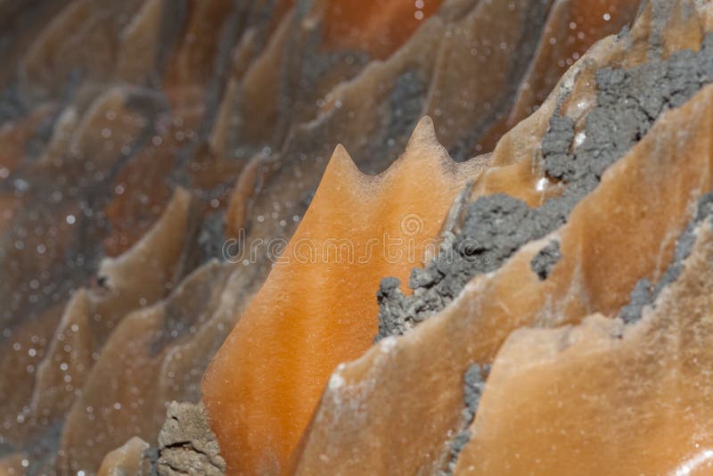 Evaporites stock photo. Image of formation, halite, sylvite - 28056762