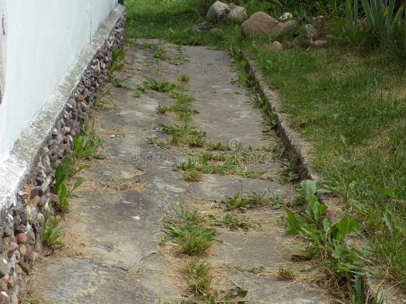 The Old Concrete Path is Overgrown with Weeds. Near the Old House ...