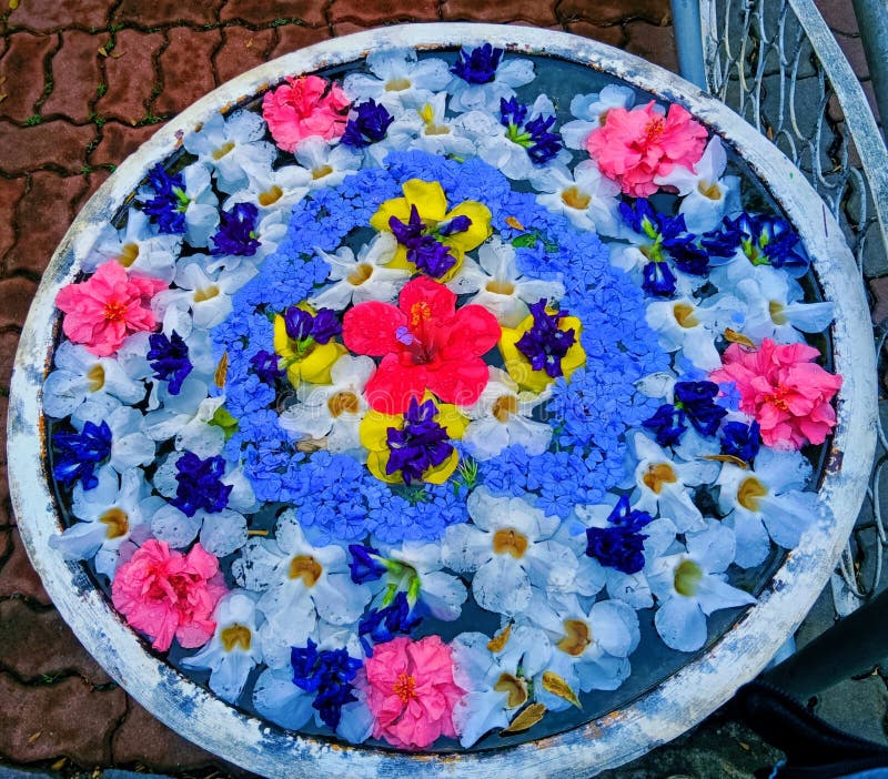 Even Flowers Grieve in Different Color Stock Photo - Image of color ...