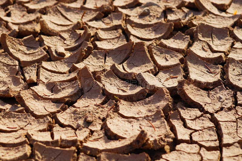 Even a Short Rain Cannot Stop the Drought Stock Image - Image of field ...