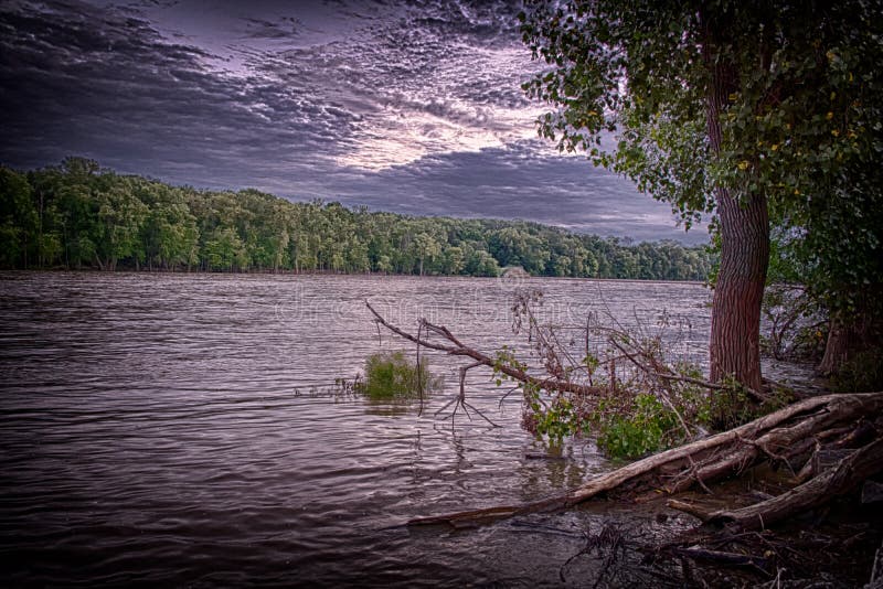 Forest Trail stock photo. Image of national, hiking, border - 14290776