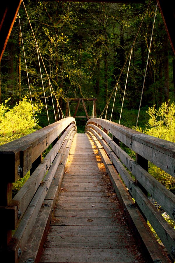 Wooden hanging bridge free stock photos - StockFreeImages