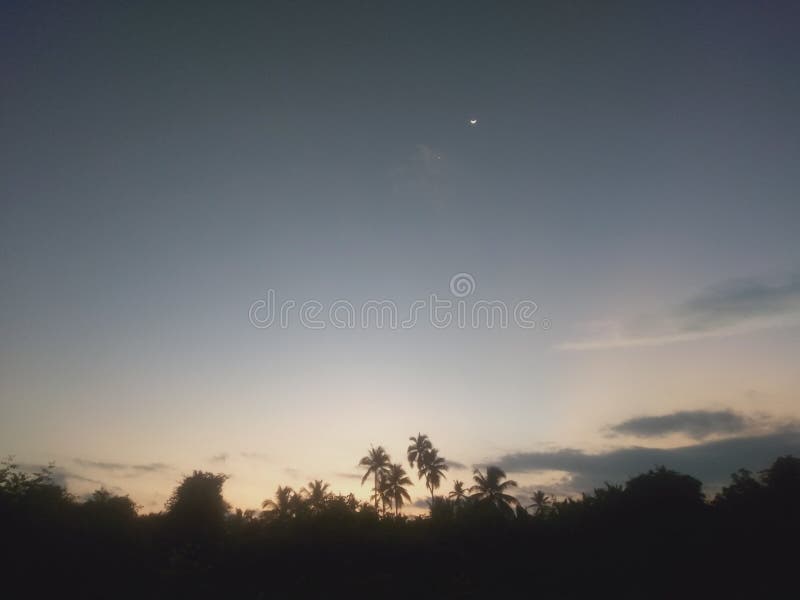 Evening Background with a Bit of Sunlight and Silhouettes of Trees ...