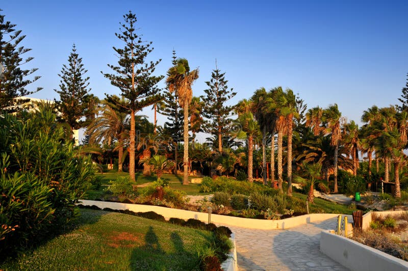 Evening in beach garden stock image. Image of pool, rest - 12026941