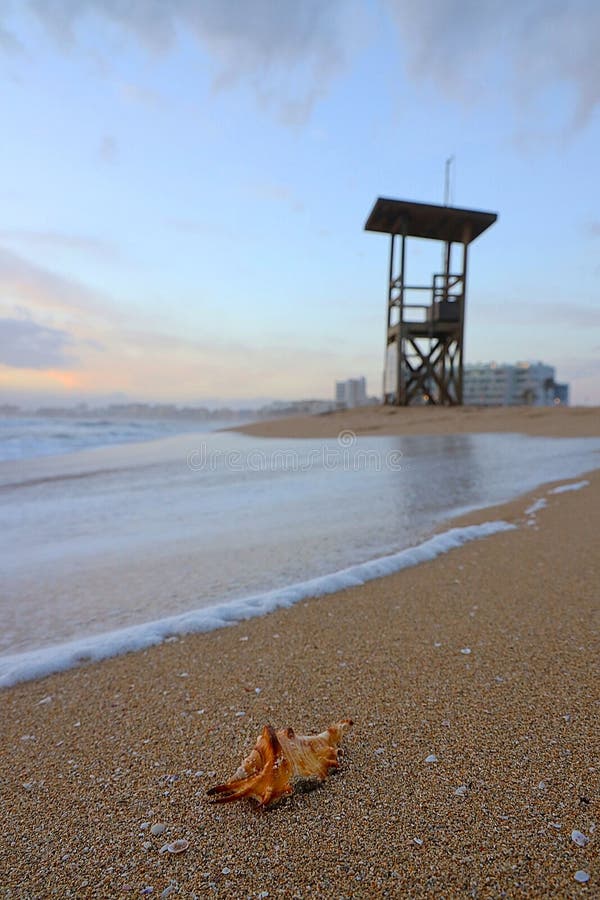 A Breathtaking Lifeguard Tower Elegantly Perched at Sunset on a ...