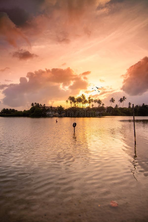 Evening stock photo. Image of beautiful, sundown, capture - 156212804