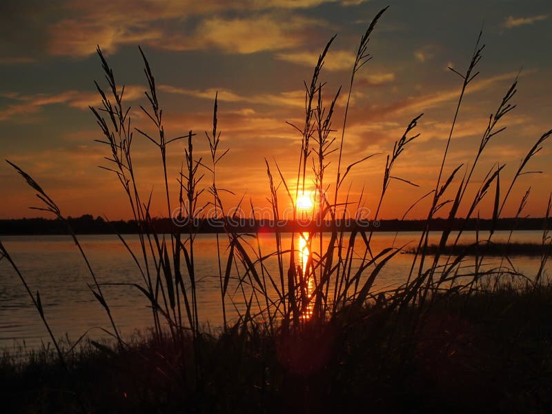 Evening Bliss stock image. Image of alto, orange, sunset - 53528009