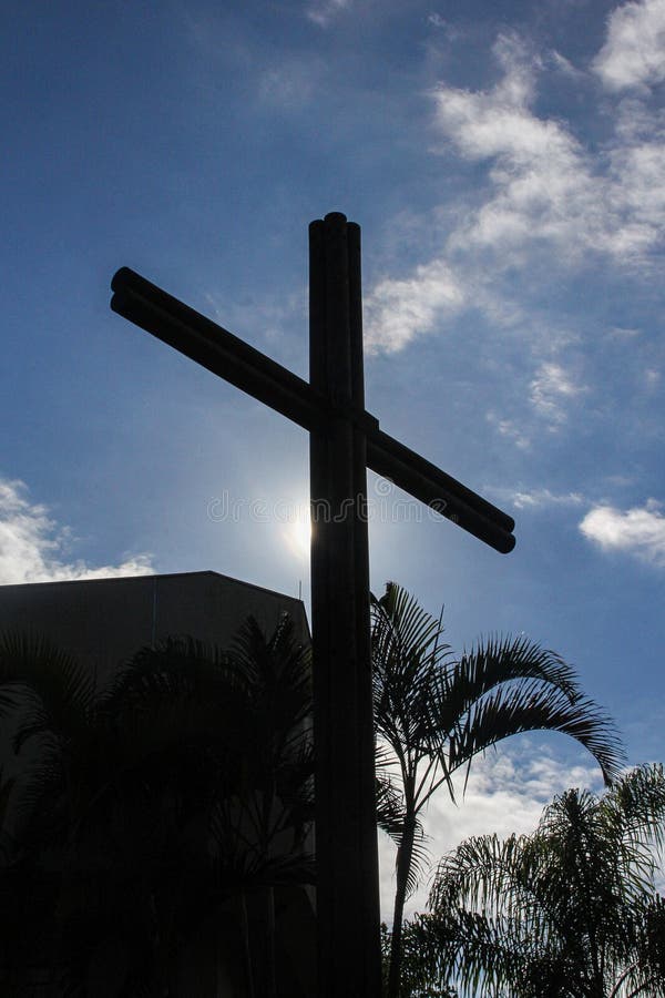 An Evening with Blue Sky, White Clouds, Palm Trees and Trees in the ...